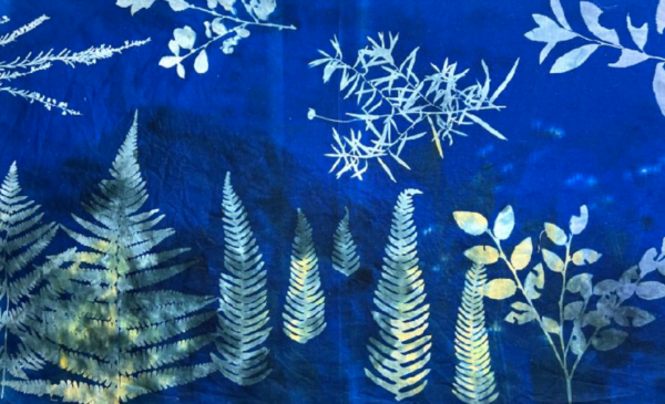 Cyanotype Chemicals - Gillian Cooper Studio - textile art supplies